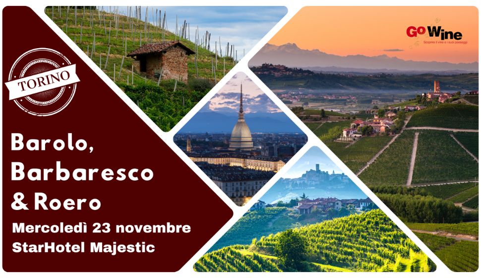 Barolo Barbaresco e Roero a Torino - 23 novembre 2022 - Go Wine